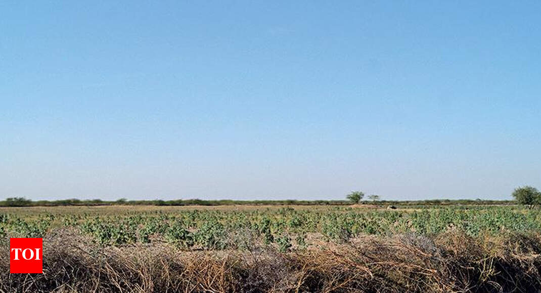 Demarcate Banni grassland area by October 31: NGT to Gujarat | Rajkot ...