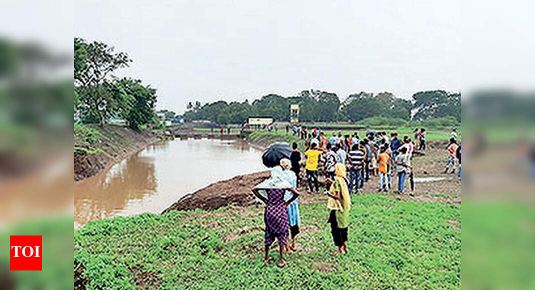 Three persons drown in different rivers | Vadodara News - Times of India
