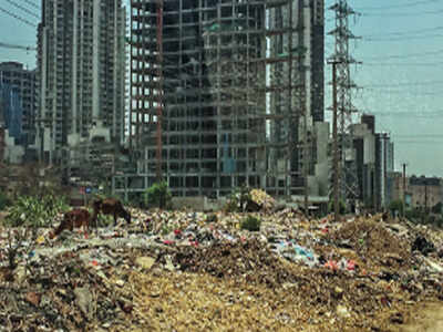 Garbage leaps out of dumpyard on to road and green belt in Sector 67 ...