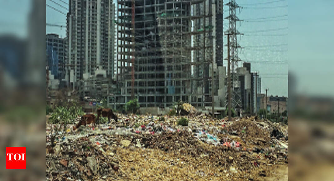 Garbage leaps out of dumpyard on to road and green belt in Sector 67 ...