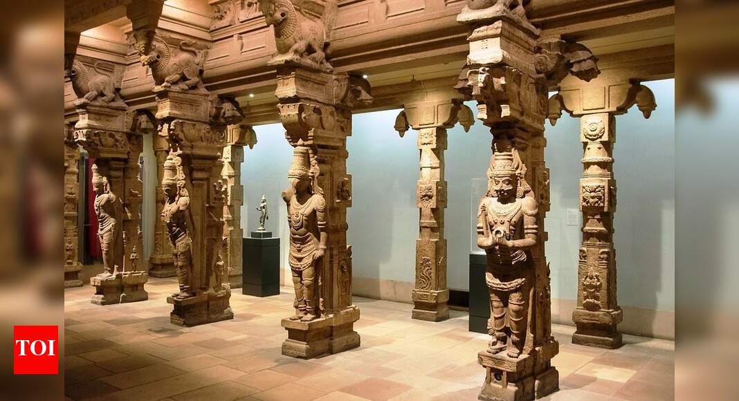 Museology: Fancy museums? Check how to make it a career option - Times ...