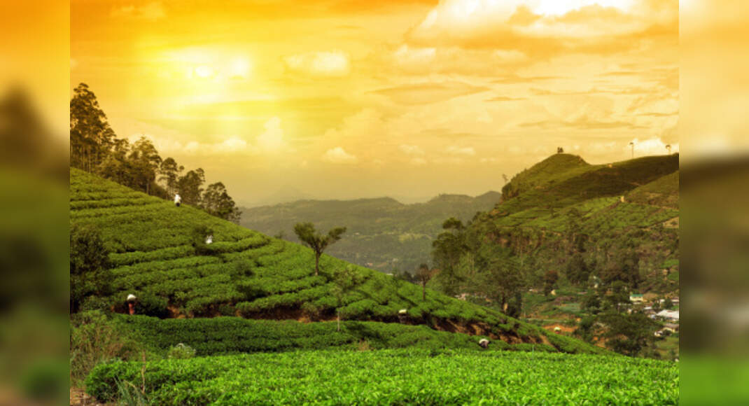 Assam: More than 300 tourist spots to get a facelift | TimesTravel