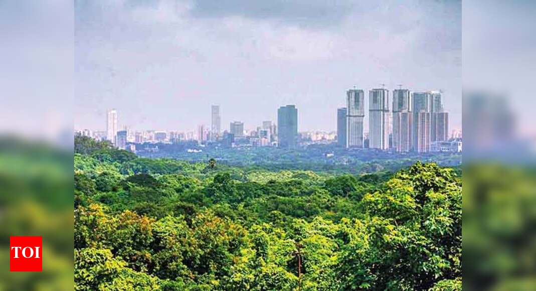 Bollywood joins the fight to save Aarey | Mumbai News - Times of India
