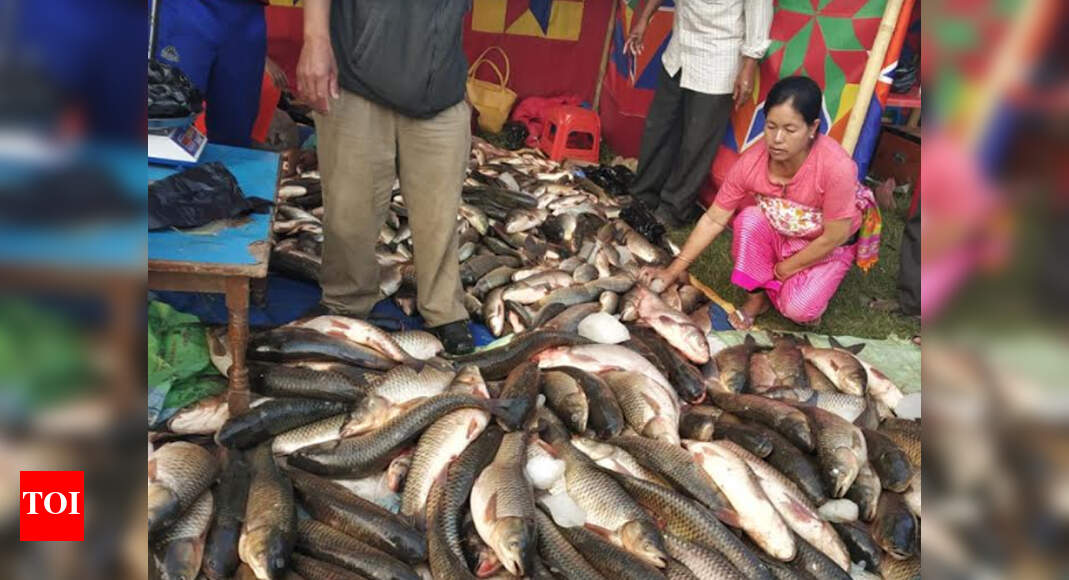 Amid trawling ban, fresh fish becomes scarce in Kerala markets | Kochi ...