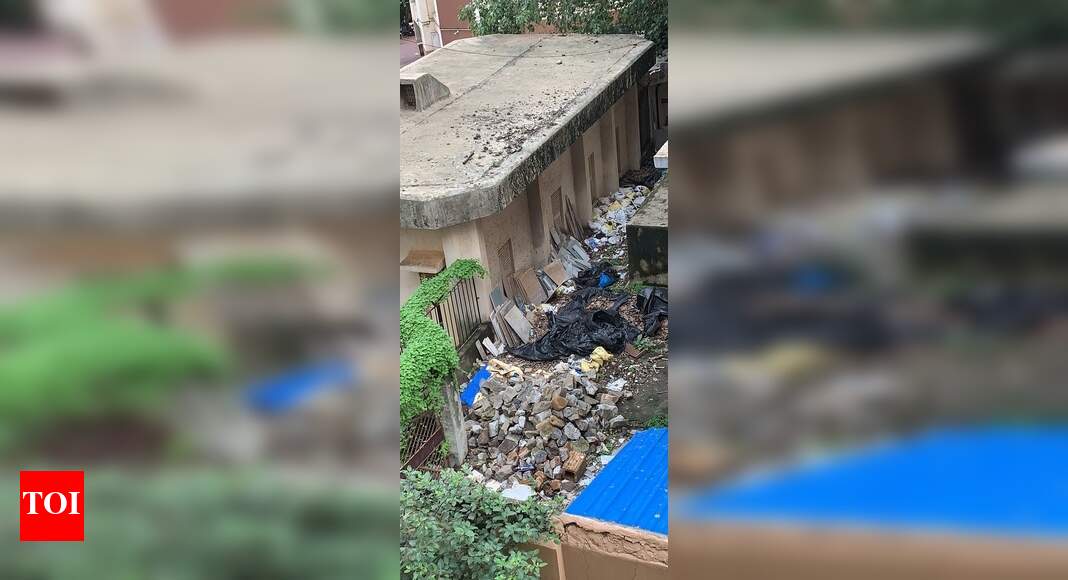 Garbaged dumped for over 10 years - Times of India