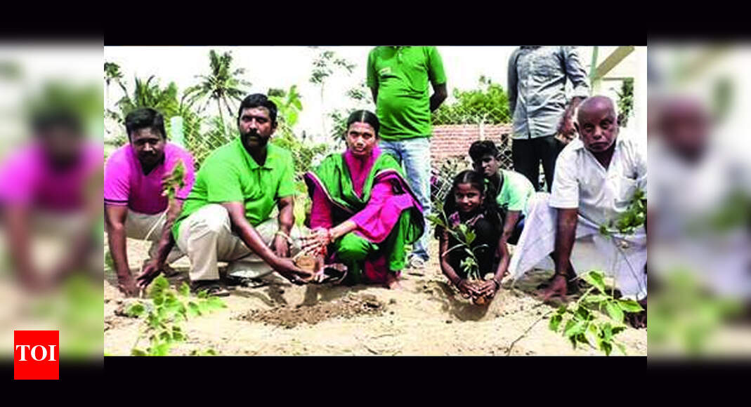 3,000 saplings planted in village hit by cyclone Gaja | Trichy News ...