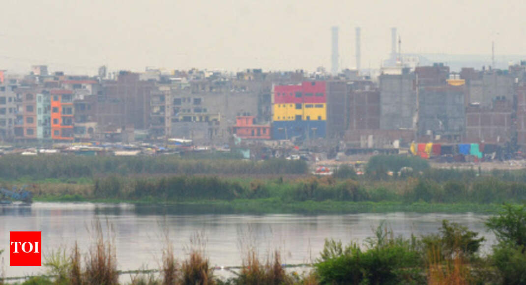 Yamuna flood plain: Delhi to start water storage in Yamuna flood plain ...