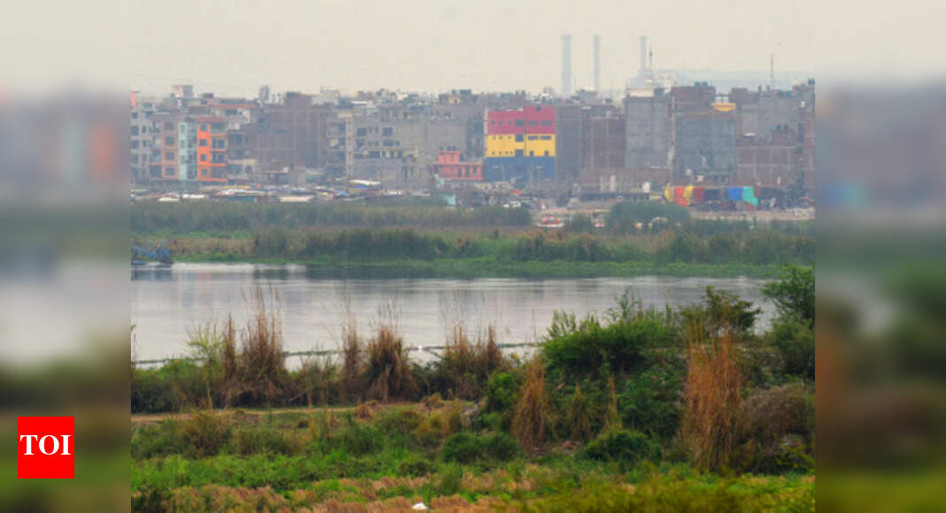 Yamuna Flood Plain: Delhi to start water storage in Yamuna flood plain ...