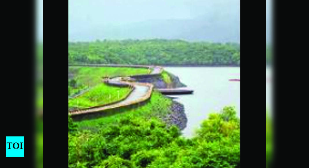 Goa reservoir levels up by 20% in less than ten days | Goa News - Times ...