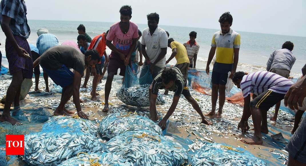 Central marine fisheries research institute releases annual marine fish ...