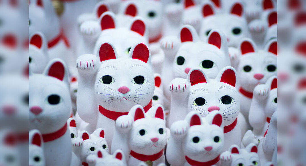 There is a cat temple in Tokyo, and we can’t keep calm!, Tokyo ...