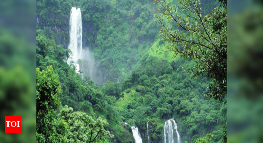 Kolhapur: India's second-highest waterfall a feast for nature lover's ...