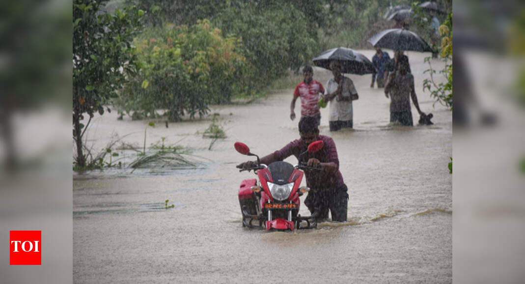 Bihar: Floodwaters enter Forbesganj town | Patna News - Times of India