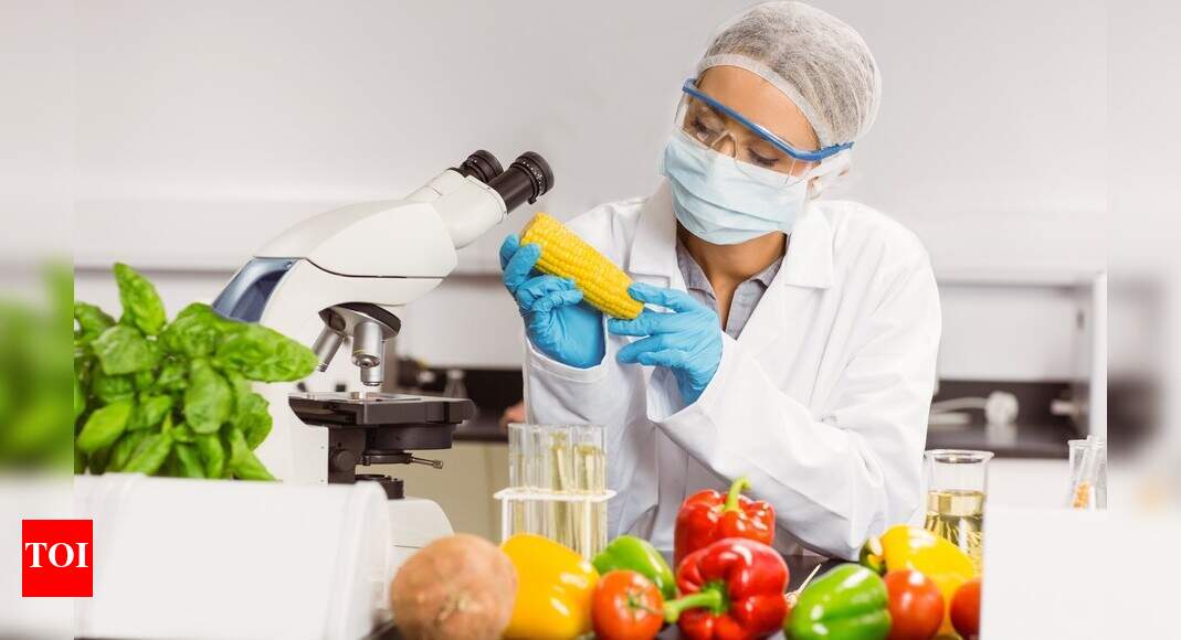 Why learning the technology of food is gaining popularity - Times of India