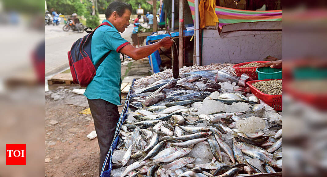 How do we tackle the rotten fish problem? | Events Movie News - Times ...