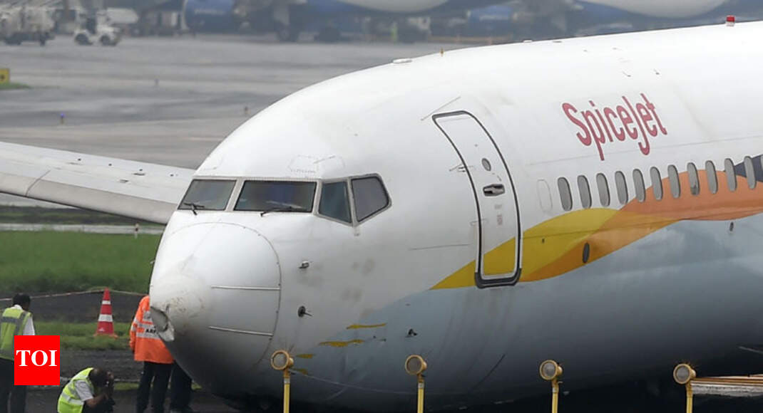 DGCA asks 6 airports to have a disabled aircraft recovery kit by next ...