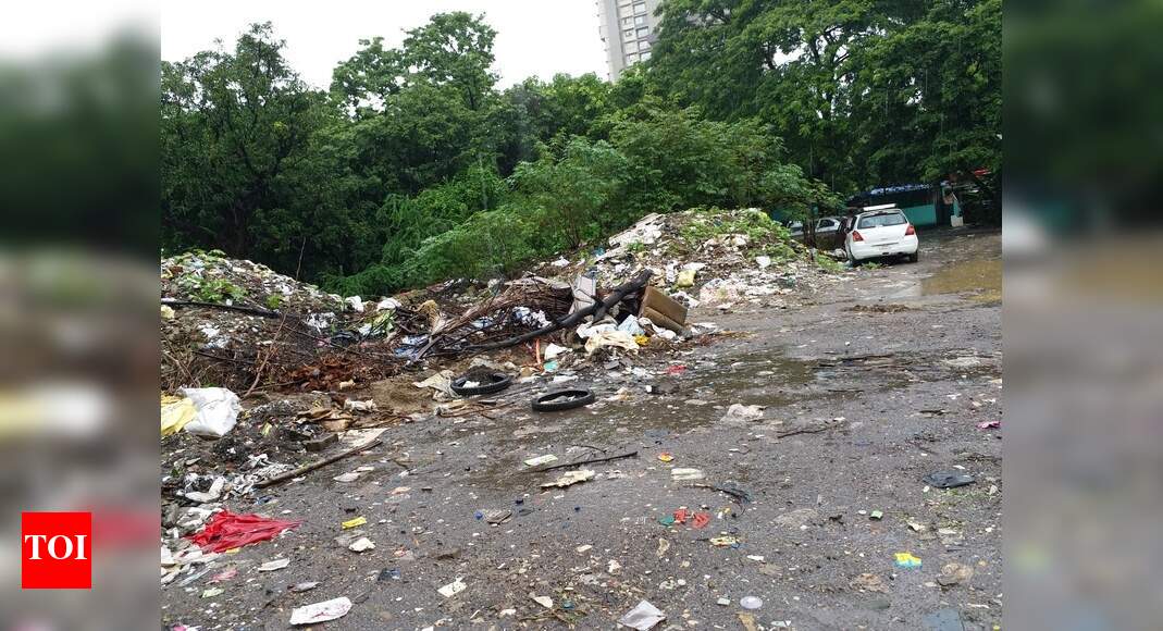 area has become a dumping ground - Times of India