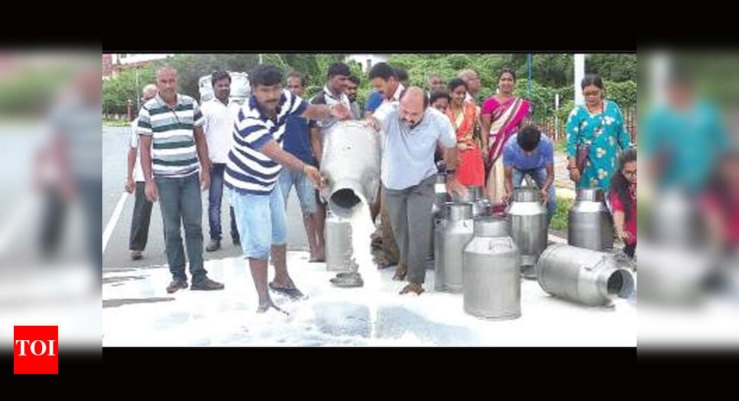 Dairy farmers pour thousands of litres of milk near assembly | Goa News ...