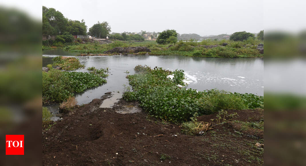 Luizinho Faleiro demands autonomous body to crack down on river ...
