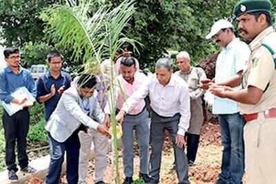 Conserve nature or perish: Actor | Hubballi News - Times of India