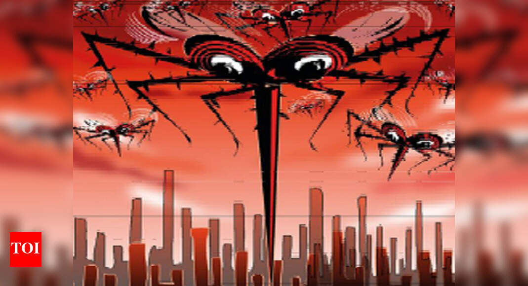 Three-day campaign in Delhi against malaria and dengue | Delhi News - Times of India