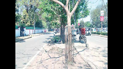 Patna: Beer Chand Patel Path to be developed as a model road | Patna ...