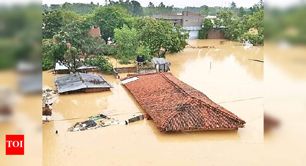 Eight drown in Sheohar, Muzaffarpur; flood situation remains grim in north Bihar | Patna News ...