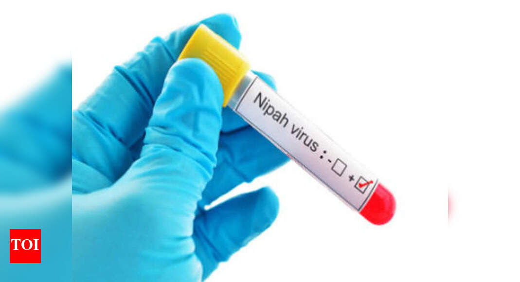 NIV scientists put Nipah virus fear to rest, declare Kerala threat-free ...