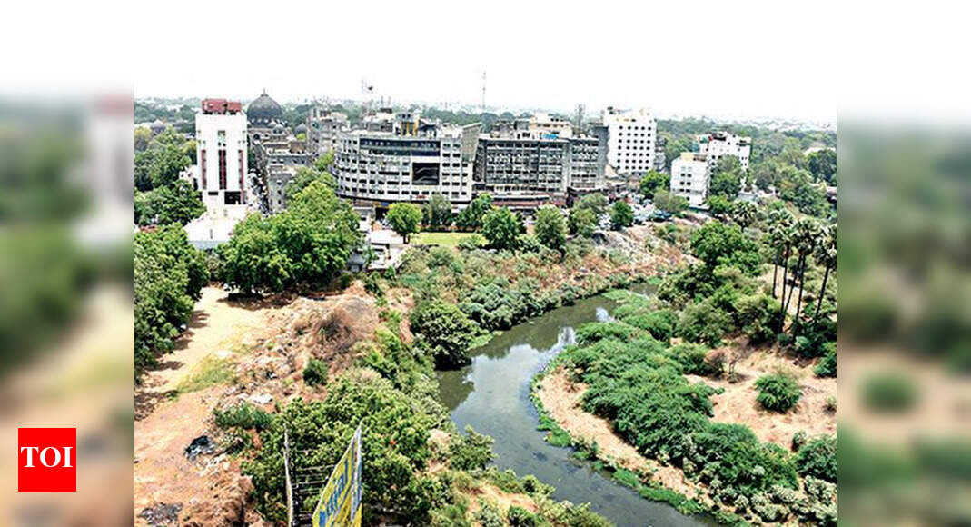 Vadodara civic body to redraft its Vishwamitri river project | Vadodara ...