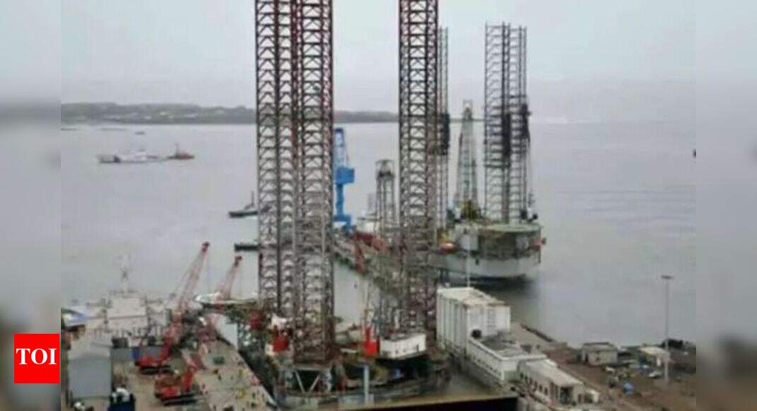 Pipavav Shipyard under CAG lens - Times of India