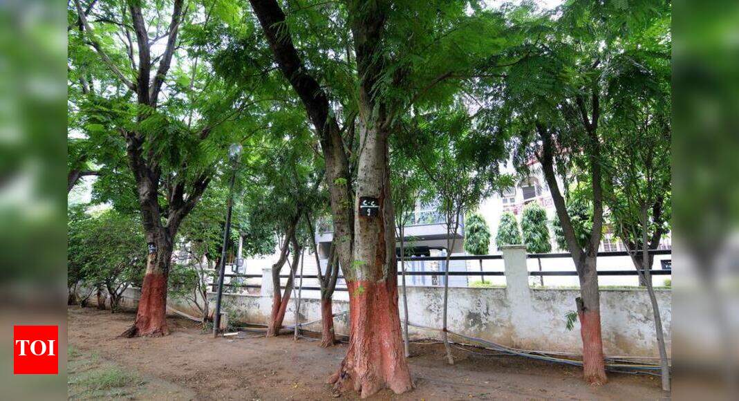 Residents tag trees in DLF-1 to stop felling | Gurgaon News - Times of ...