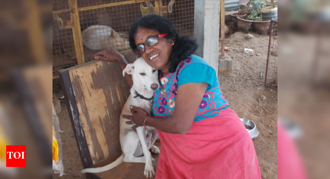 ‘Dog Lady of Coimbatore’ Geetha Rani dead | Coimbatore News - Times of ...