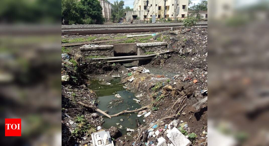 Mosquito breeding factory PMC approved - Times of India