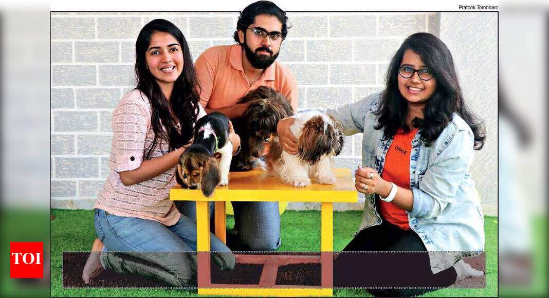 Dog Cafe In Bhopal: Bhopal's first pet cafe offers you a chance to ...
