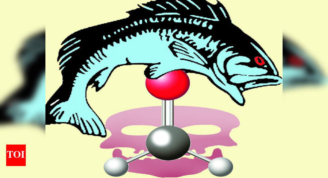 Fish in MP getting skin cancer due to pollution | Bhopal News - Times ...