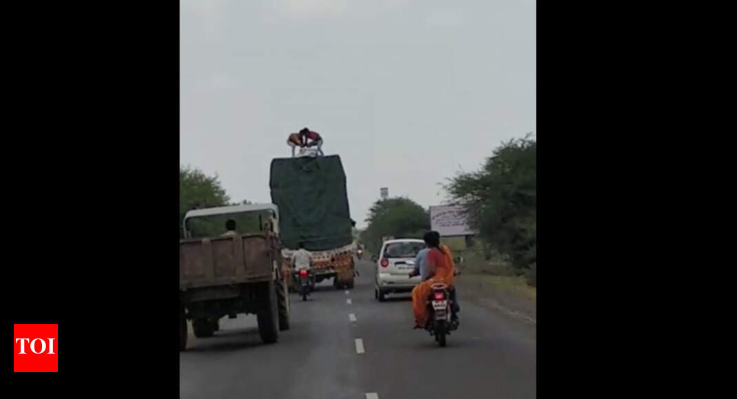 MP: Highway thieves try to steal goods from moving truck in Ujjain ...