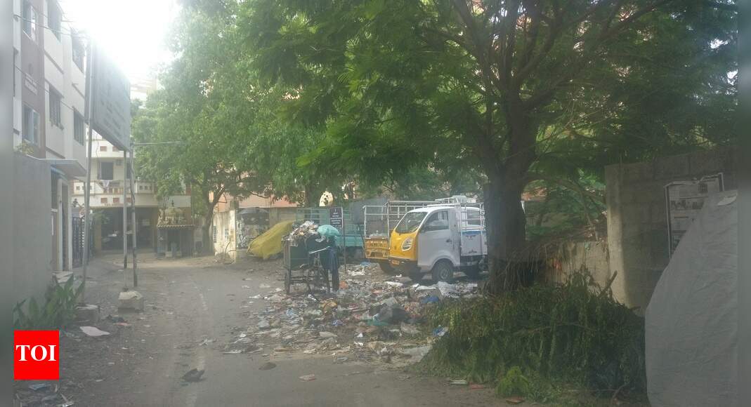 Street Turned into a garbage dump - Times of India