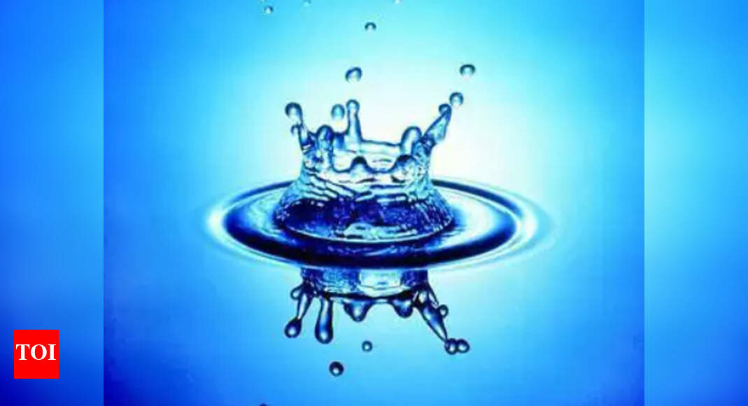 Awareness campaign on water conservation concludes today | Bareilly ...