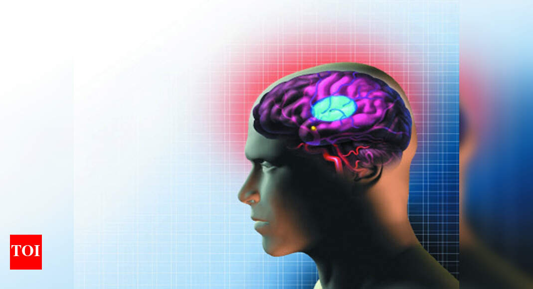 Delhi's first brain mapping machine by September | Delhi News - Times ...