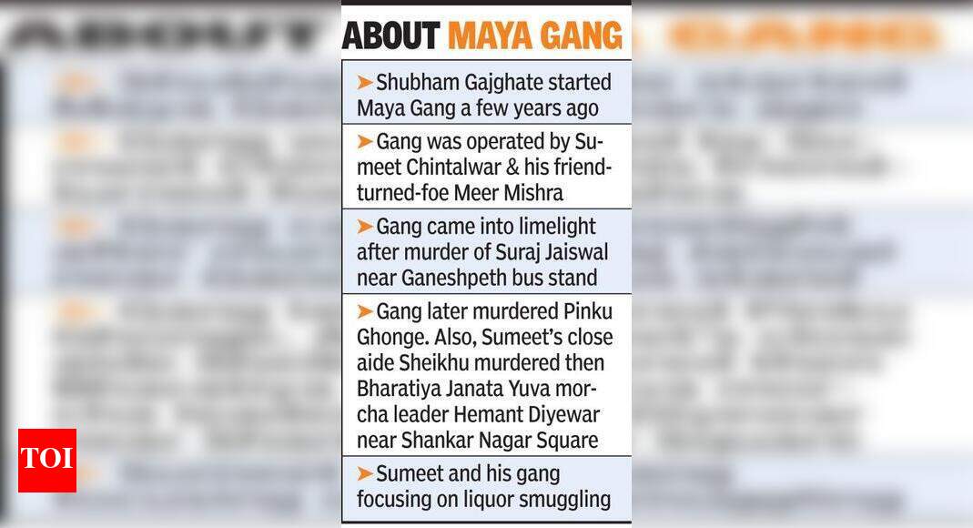 Maya Gang’s don nabbed in early morning operation | Nagpur News - Times ...