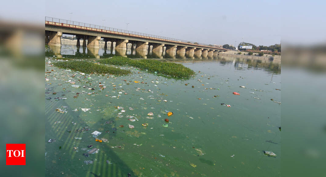 No pollution in Sabarmati, claims Gujarat government | Ahmedabad News ...