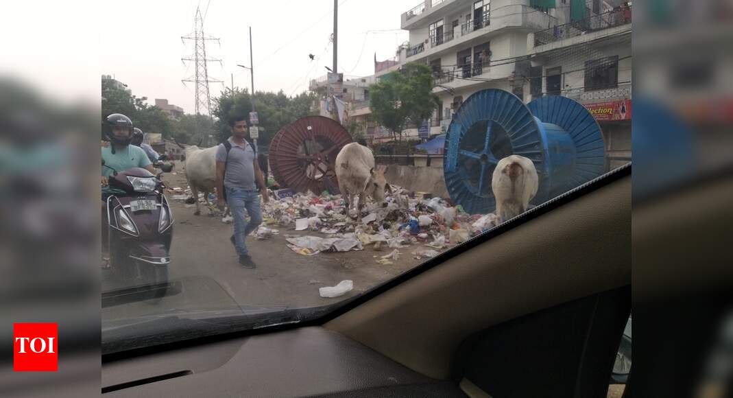 Dumping zone in front of market - Times of India