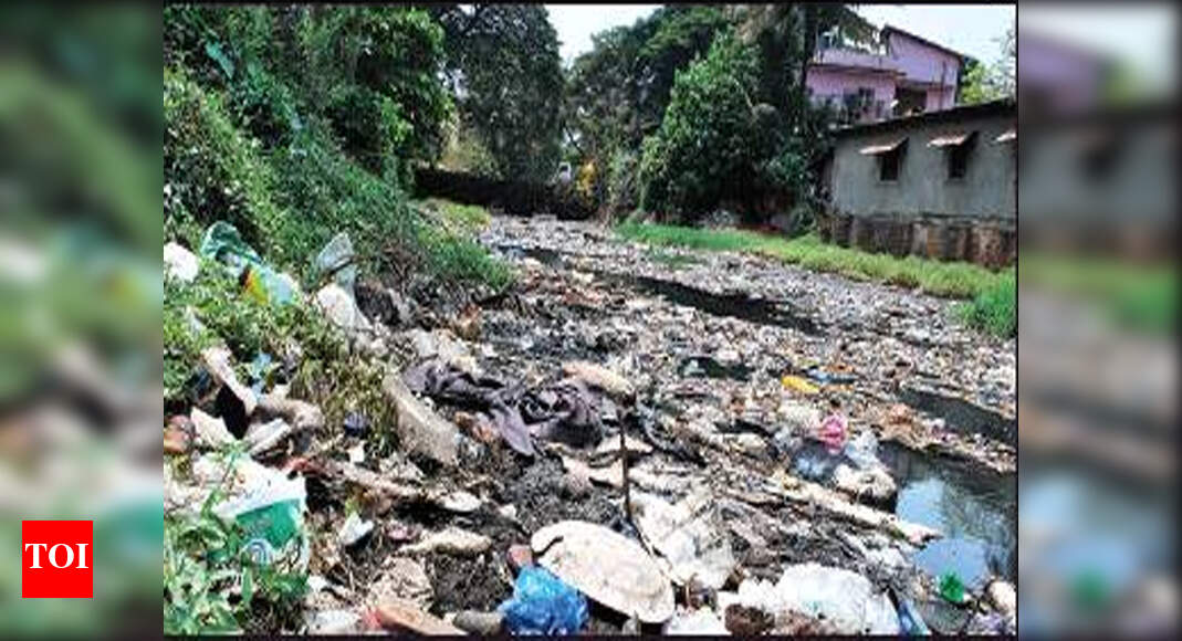 Goa: Most creeks contaminated by sewage, finds pollution board | Goa ...