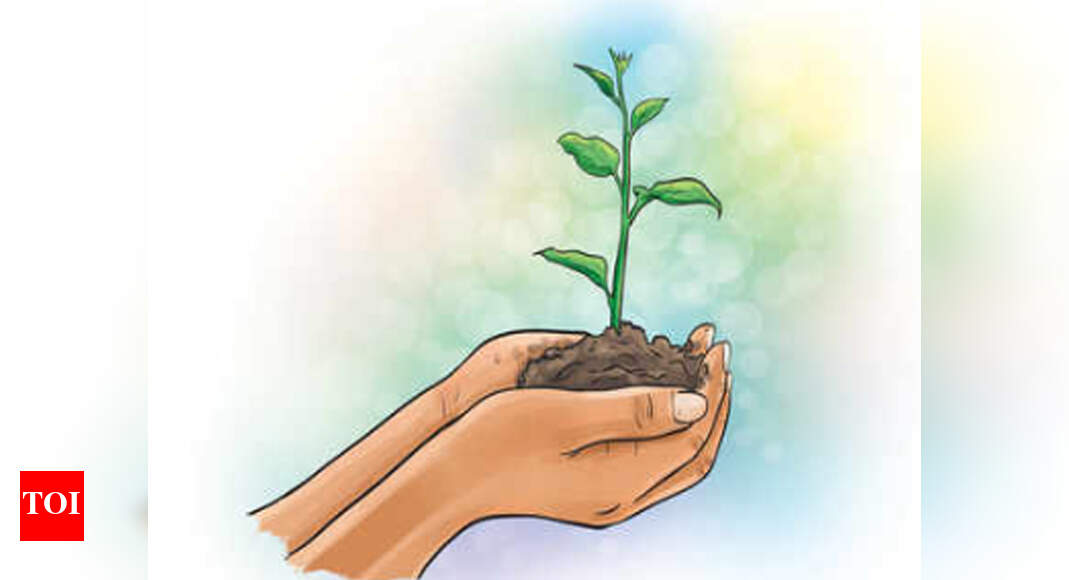 Hariyali Mission: 250 trees planted | Patna News - Times of India