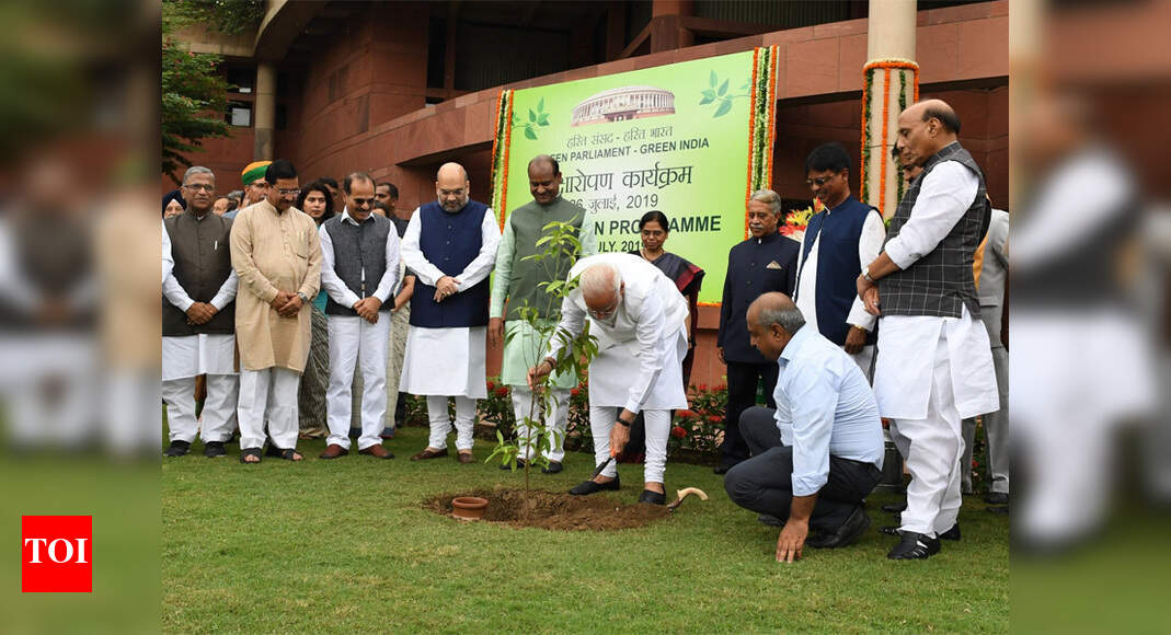PM Modi participates in tree plantation drive | India News - Times of India