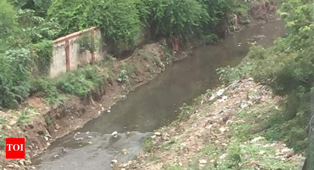 Nallah near Katol Bypass becomes open toilet - Times of India