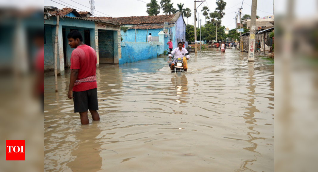 Bihar flood situation grim, 85 lakh affected | India News - Times of India