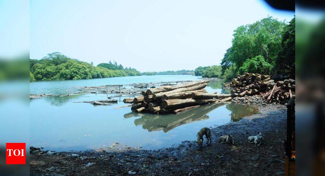 18-point action plan to save Kallai River | Kochi News - Times of India