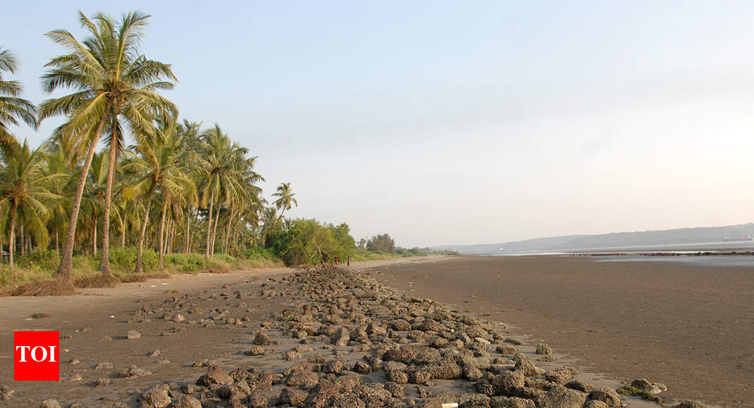 NIO to study Goa's 11th century Kadamba port wall | Goa News - Times of ...