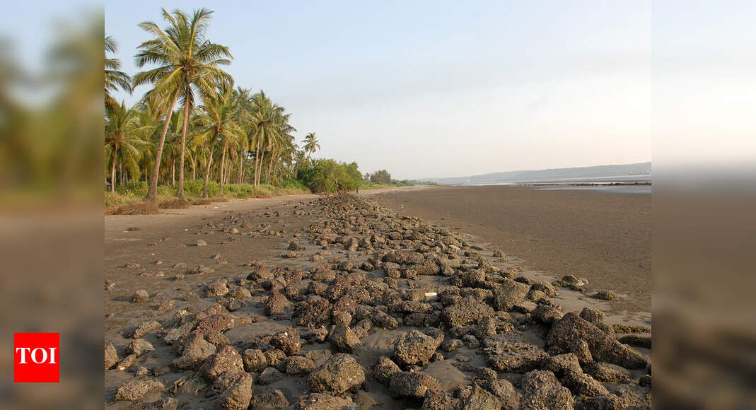 NIO to study Goa's 11th century Kadamba port wall | Goa News - Times of ...